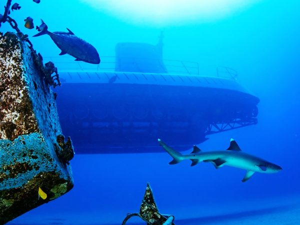 Top 12 Exciting Family Adventures Across Oahu - Hawaii Parent